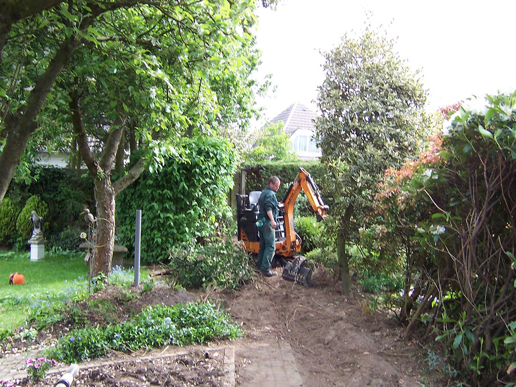 Keramische Tegels: rooien van een coniferenhaag