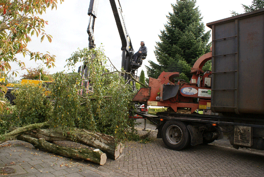Keramische Tegels: Bomen rooien Hooglanderveen