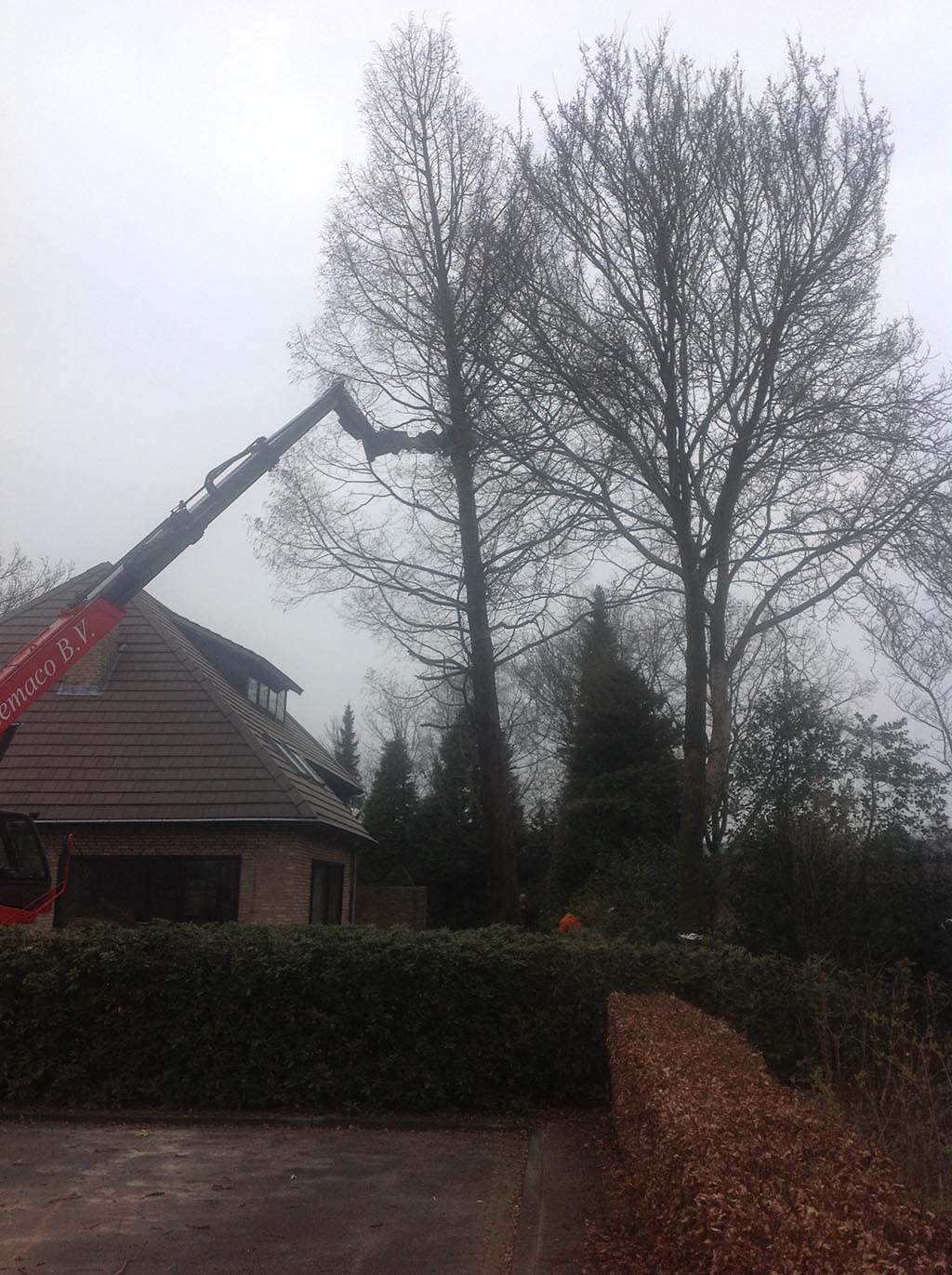 Keramische Tegels: Bomen rooien Geersdijk