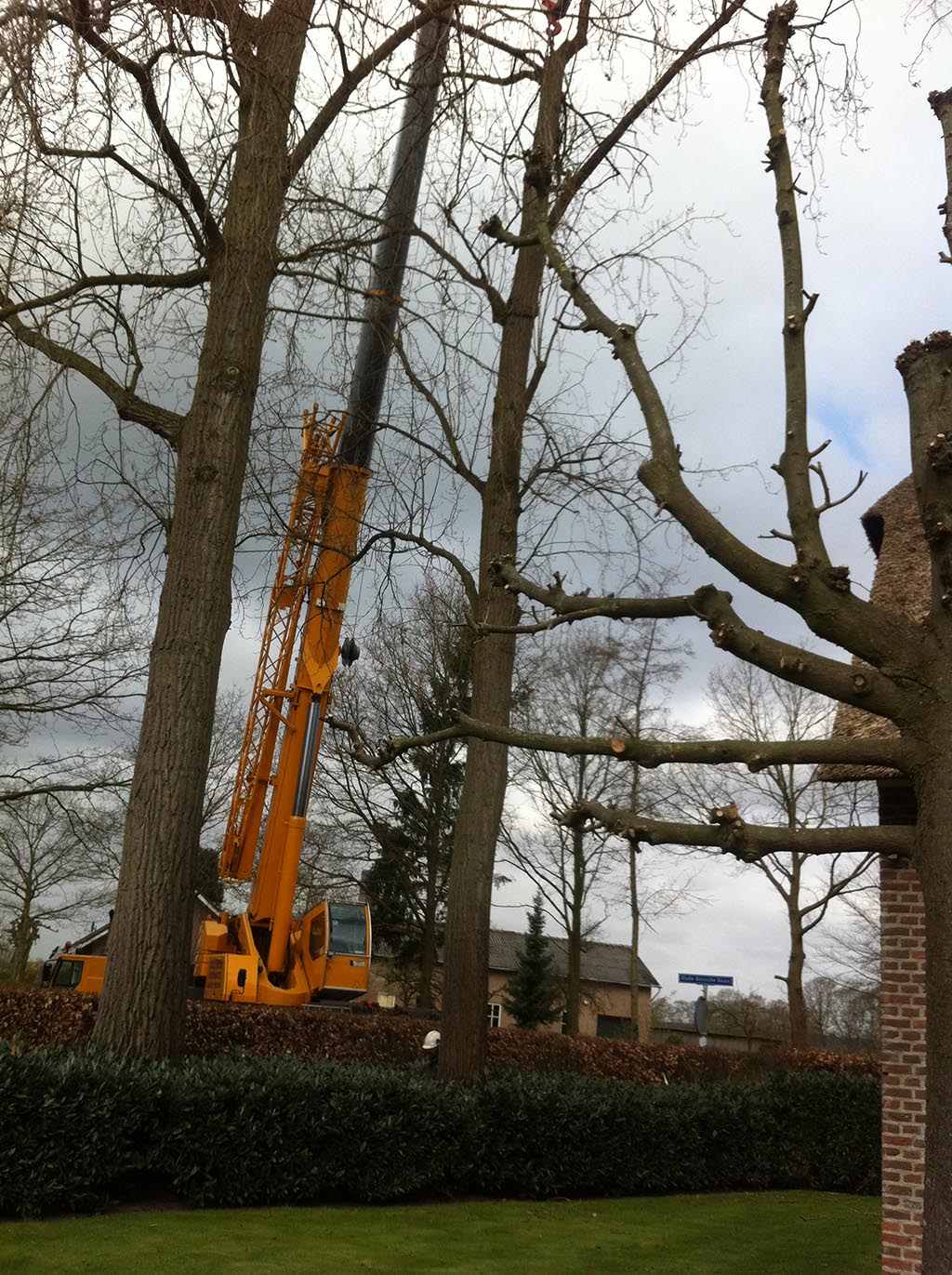 Keramische Tegels: Bomen rooien Eygelshoven