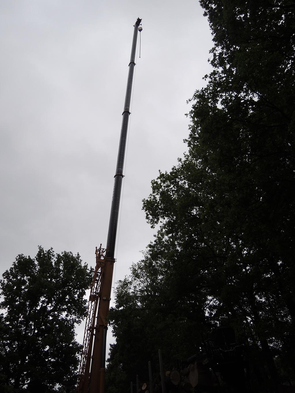 Keramische Tegels: Bomen rooien in Eersel