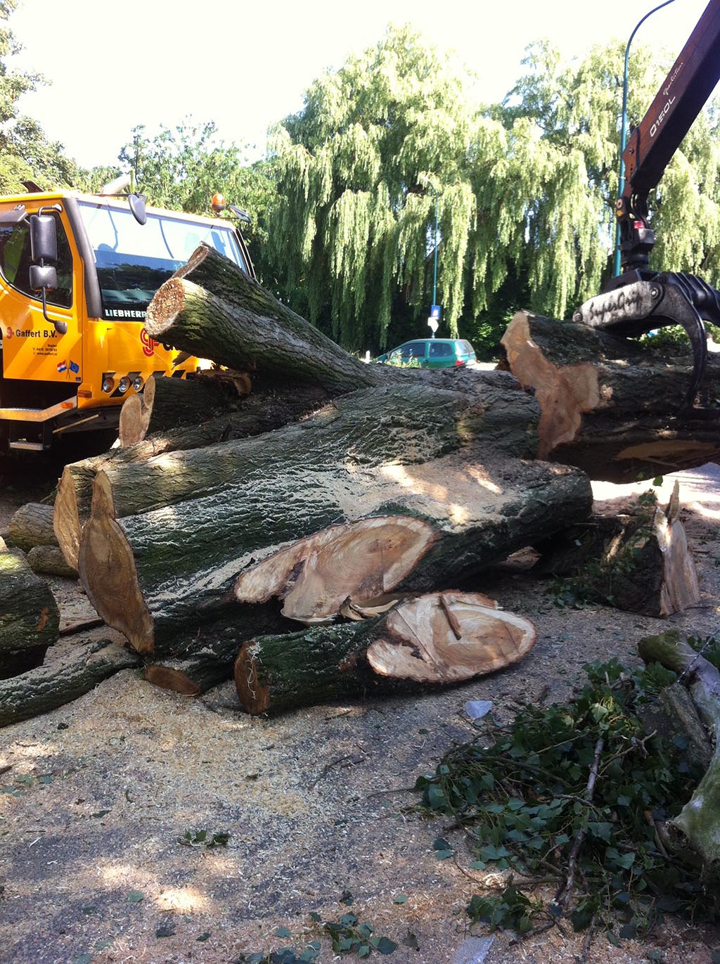 Keramische Tegels: Bomen rooien Cothen