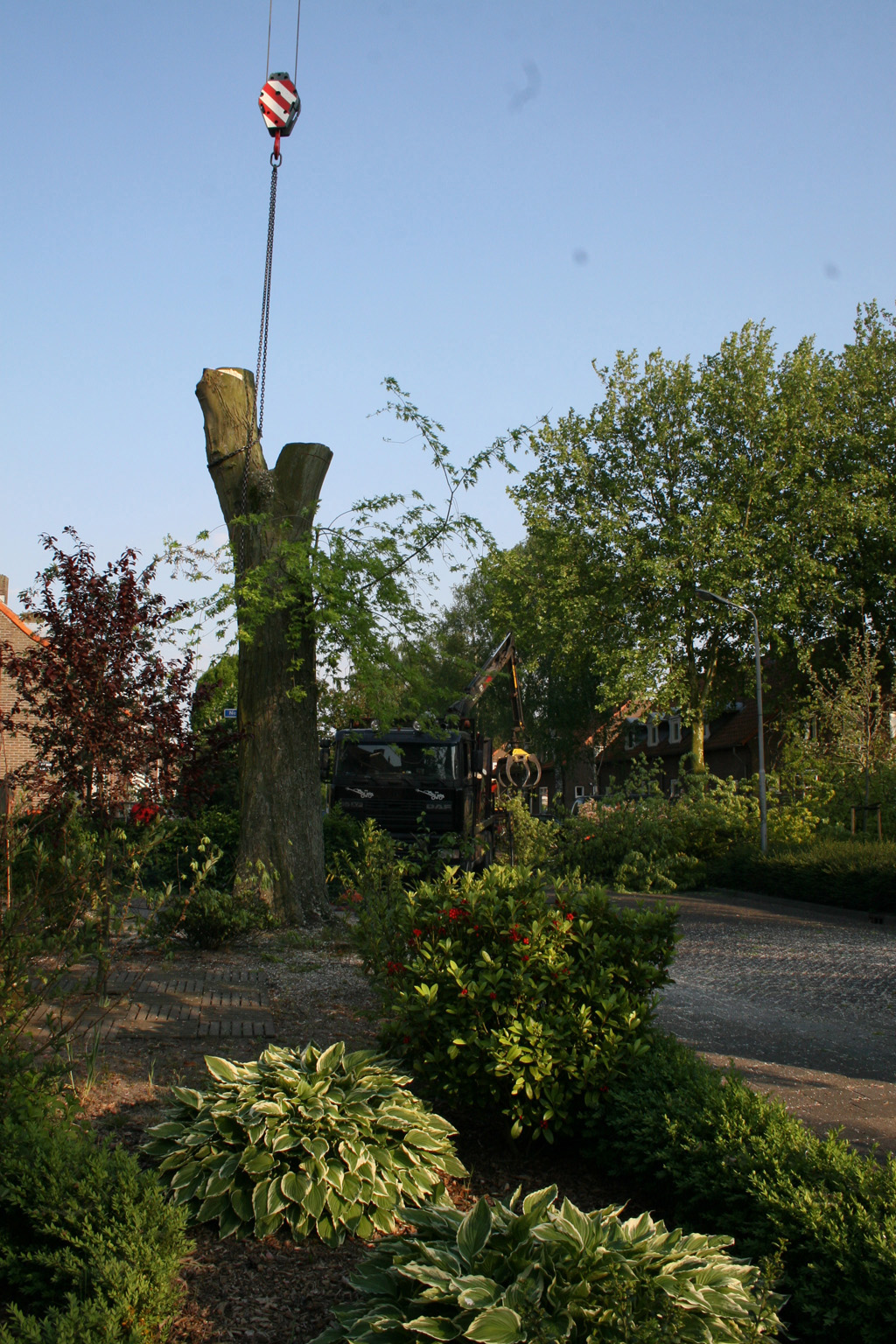Keramische Tegels: Bomen Rooien Tilburg
